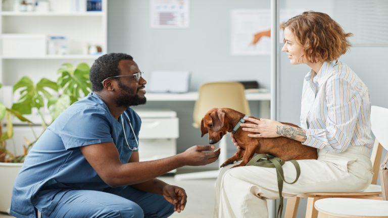 3 Crucial Skills for Veterinary Administration Assistants
